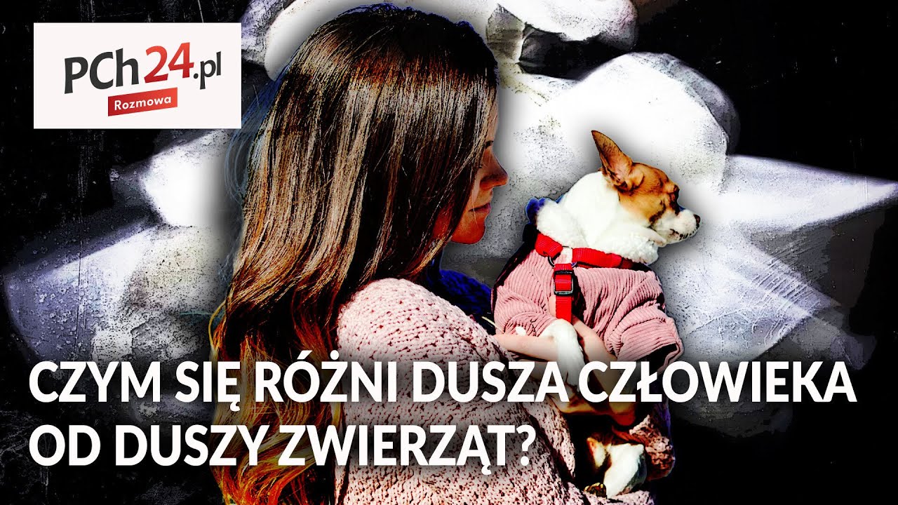 Dusza człowieka, dusza zwierzęcia… Czym się różnią? – DlaPolski.PL
